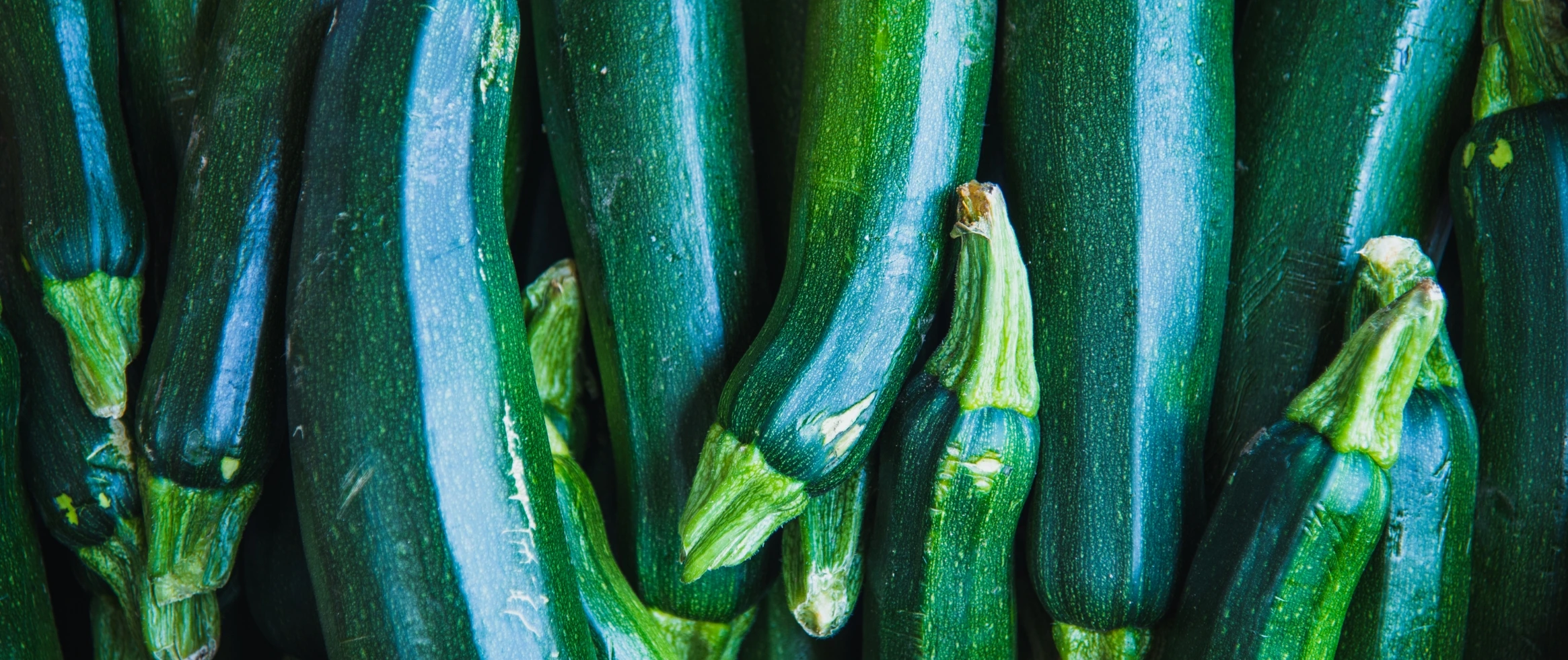 Is Zucchini Good for You? 12 Health Facts to Know