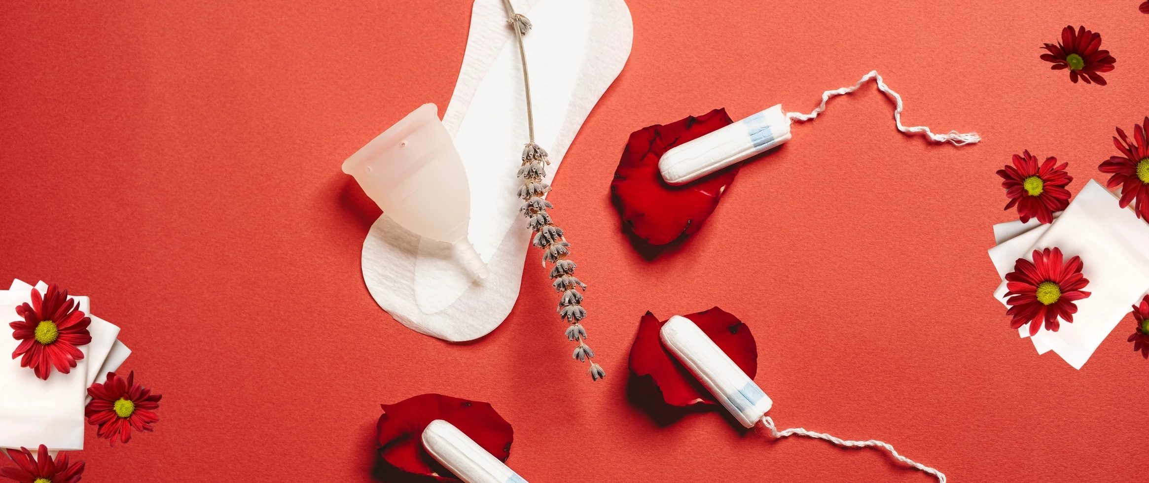 What Causes Heavy Menstrual Bleeding(Menorrhagia )?